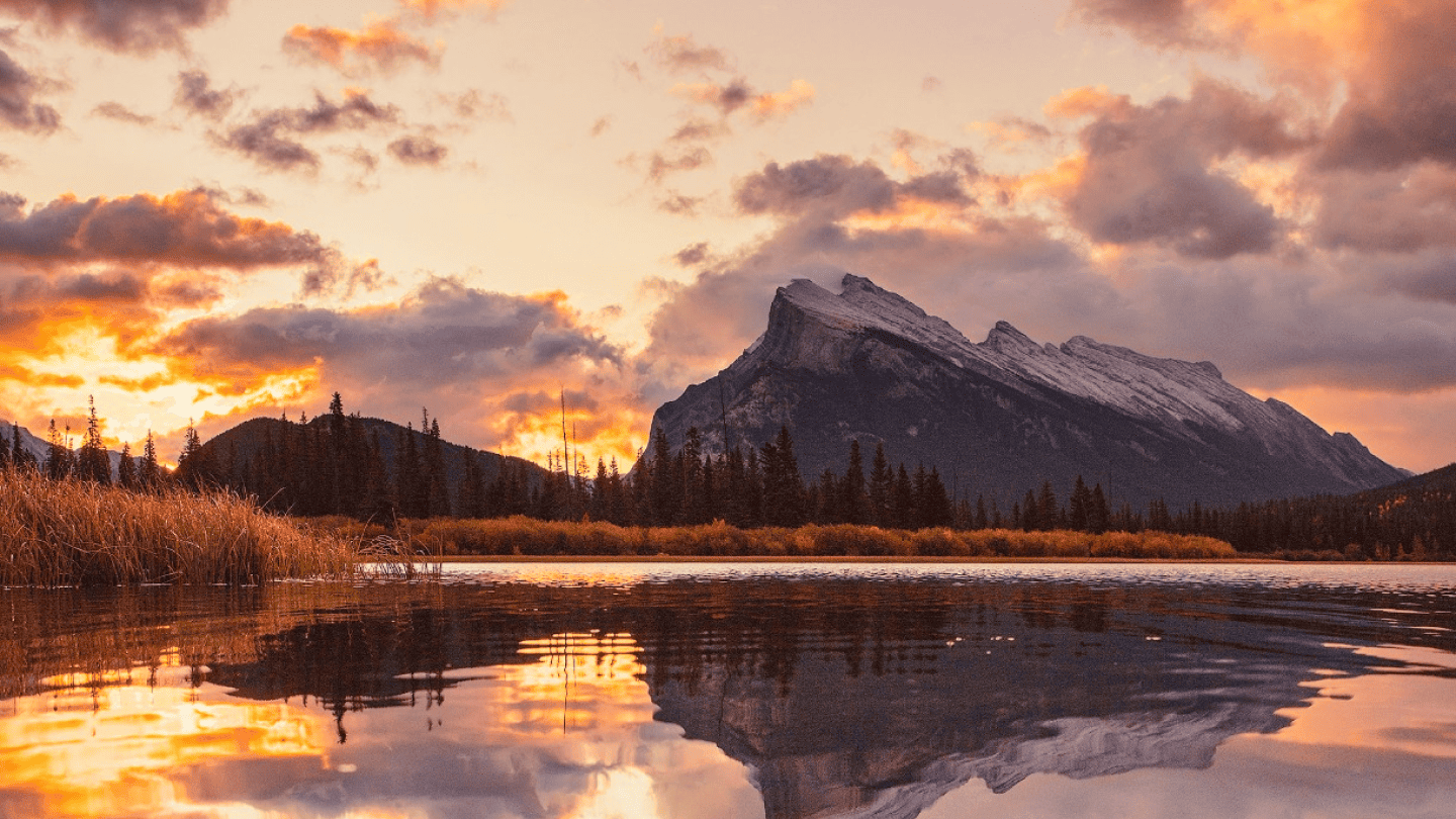 Bilvam Herbals's Help Center